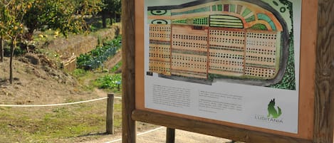Placa de Horta Lusitana com um detalhado esboço de um edifício.