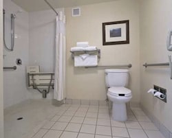 Casa de banho com chuveiro, sanita e porta-toalhas.