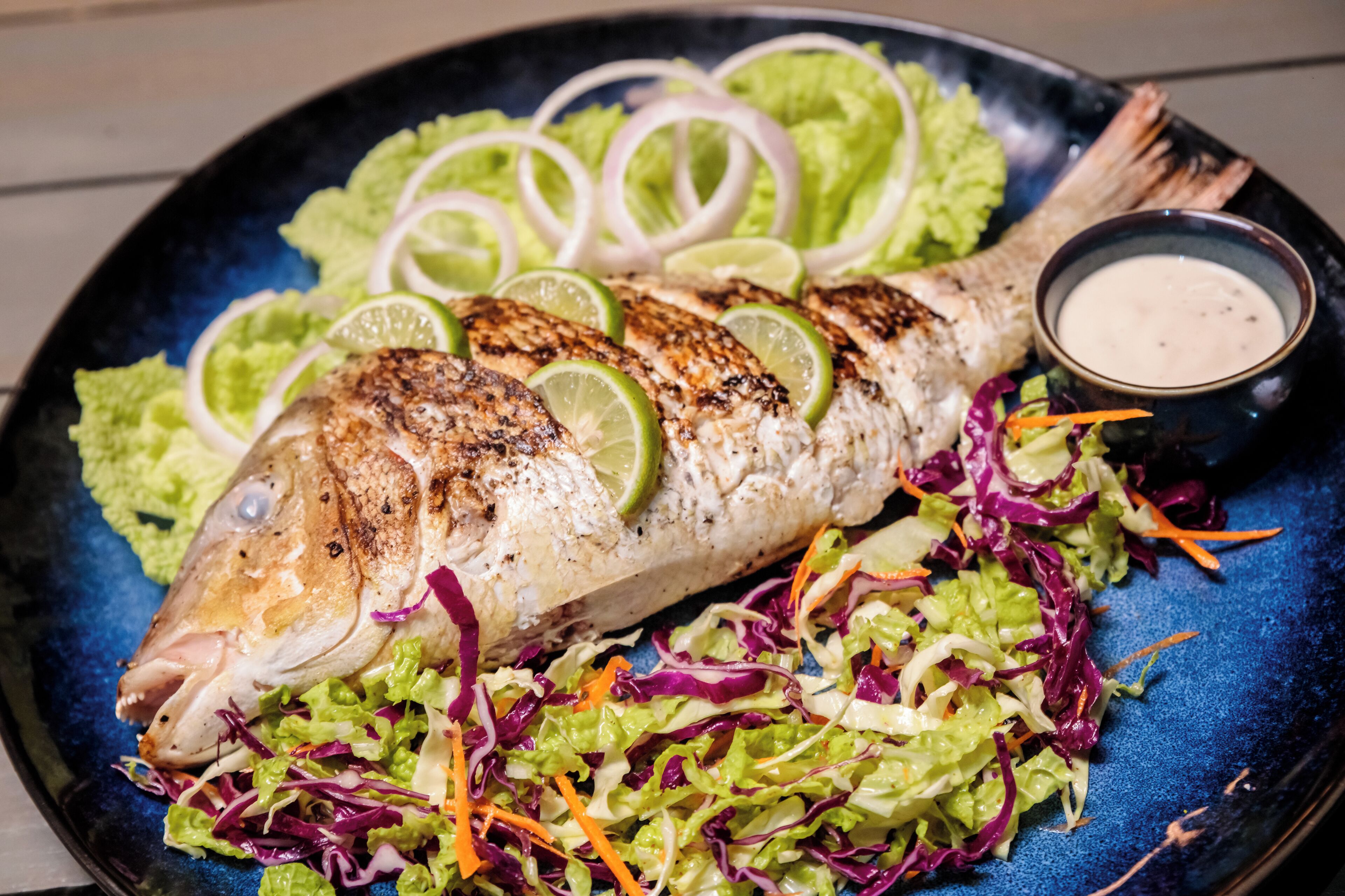 Peixe grelhado num prato azul, acompanhado de uma salada e rodelas de cebola.