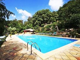 Piscina com deck revestido, espreguiçadeiras e um pequeno edifício em ambiente verde e exuberante.