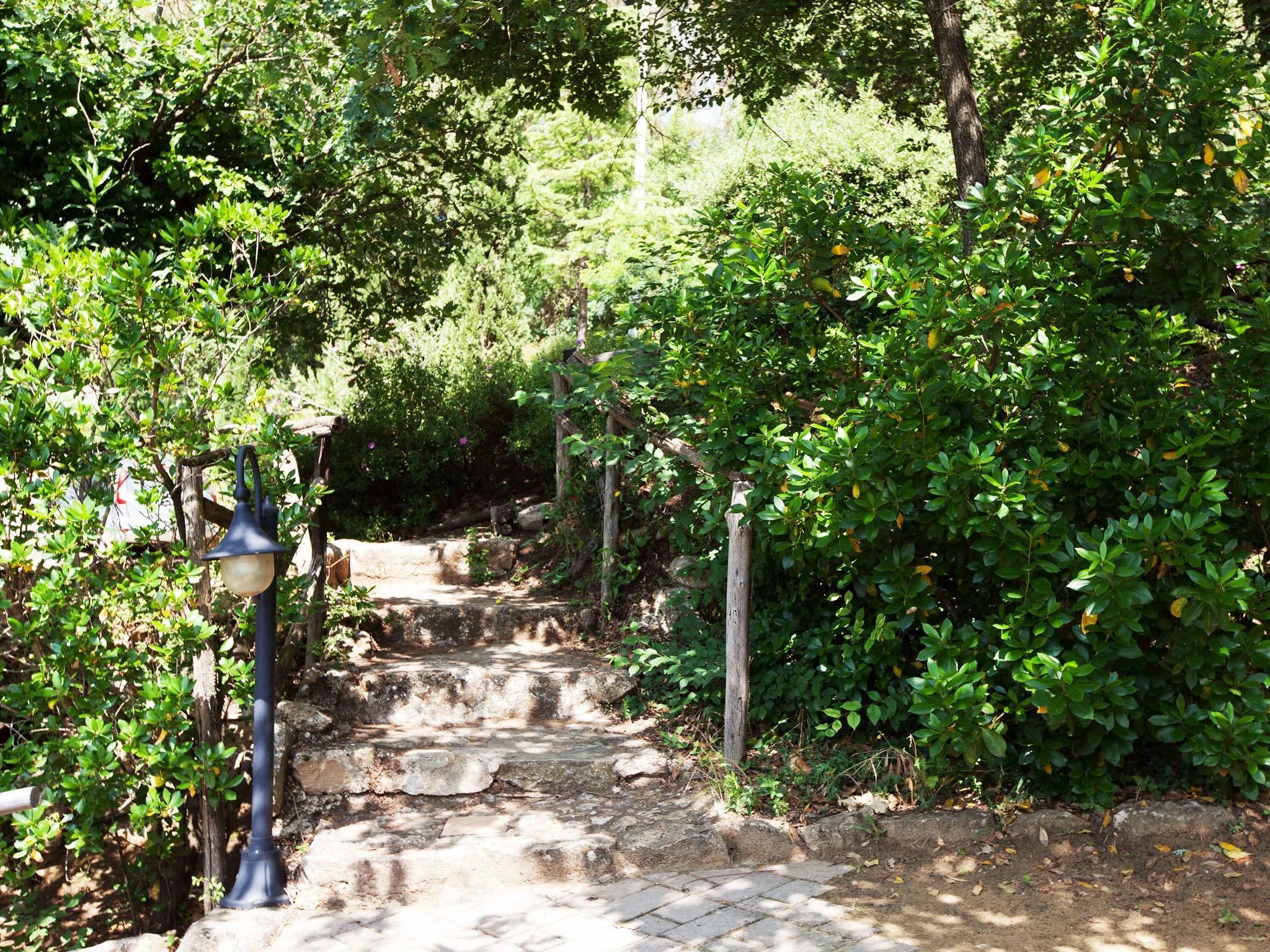 Escadaria de pedra cercada por vegetação exuberante e um poste de luz de metal.
