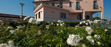 Um edifício rosa com varandas e um jardim com flores brancas.