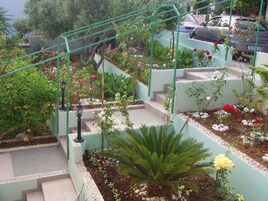 Jardim