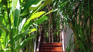 Jardim