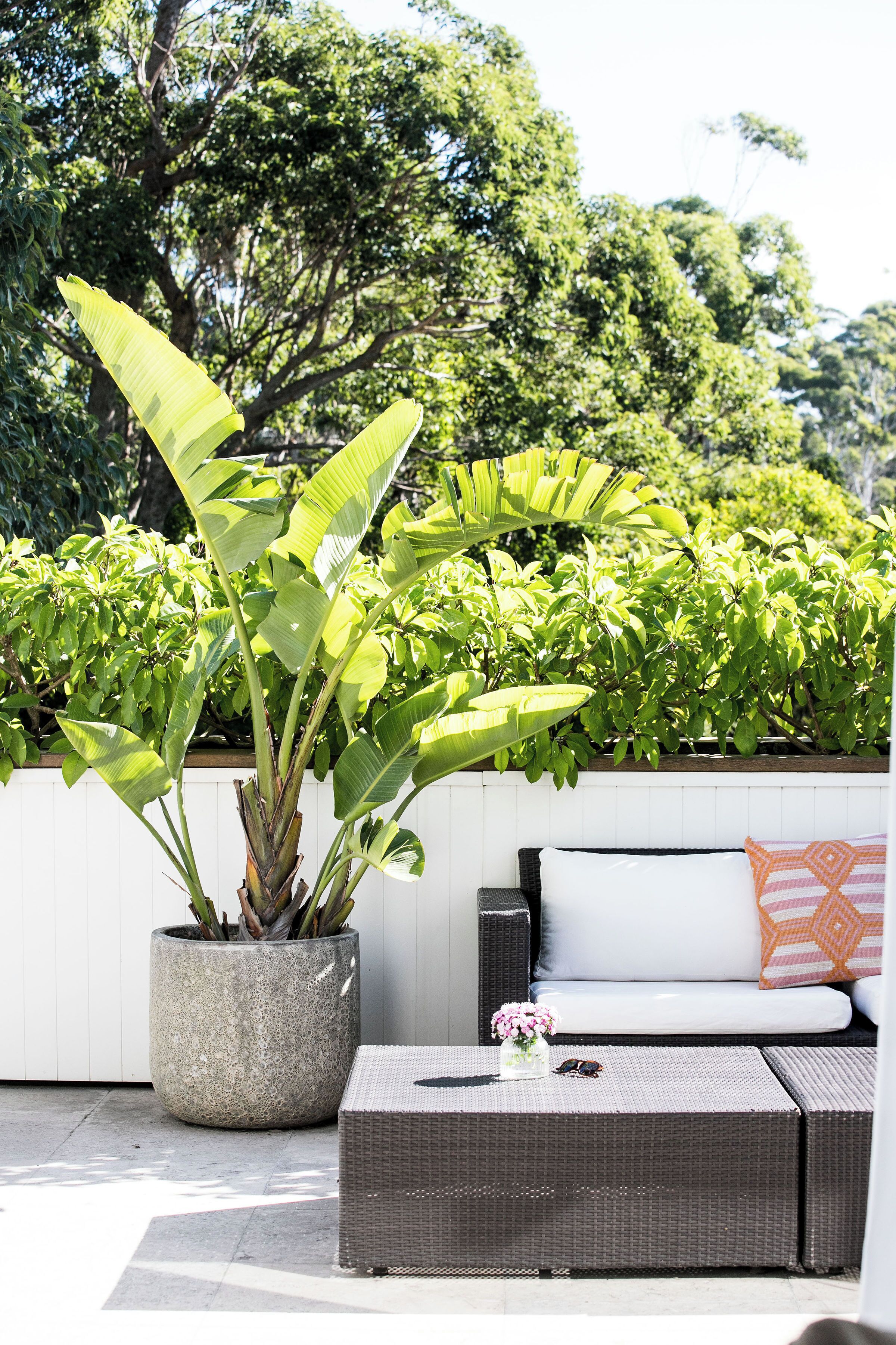 Uma área de pátio com um sofá de vime, um vaso de planta e uma parede branca com vegetação ao fundo.