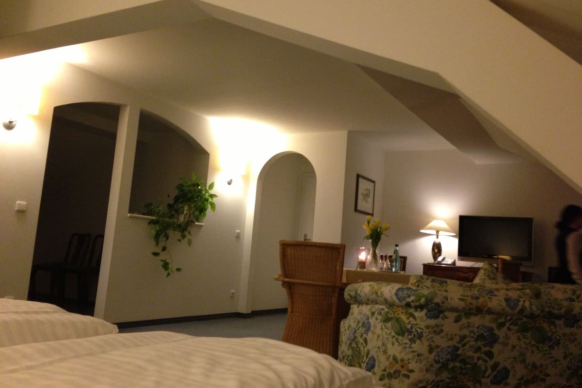 Quarto com uma cama, uma cadeira, televisão e uma planta.