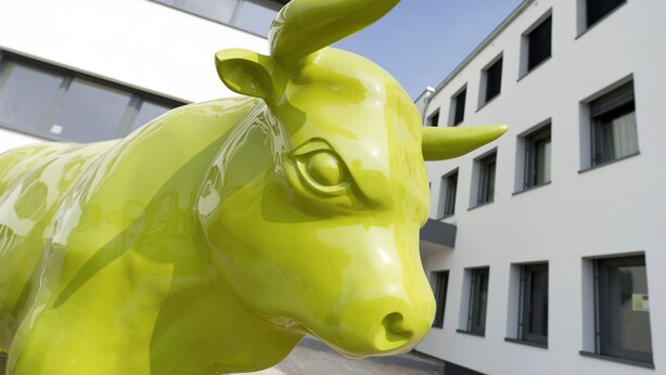 Uma escultura brilhante de vaca verde em frente a um edifício moderno com várias janelas.
