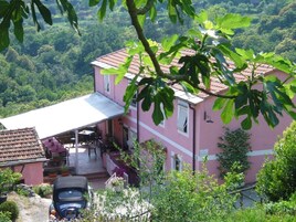 Uma casa cor-de-rosa com um alpendre, rodeada por vegetação e um carro estacionado na frente.