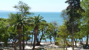 Um parque costeiro com palmeiras, um pequeno lago e vista para o mar.
