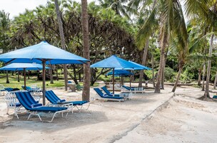 Perto da praia, espreguiçadeiras, guarda-sóis de praia