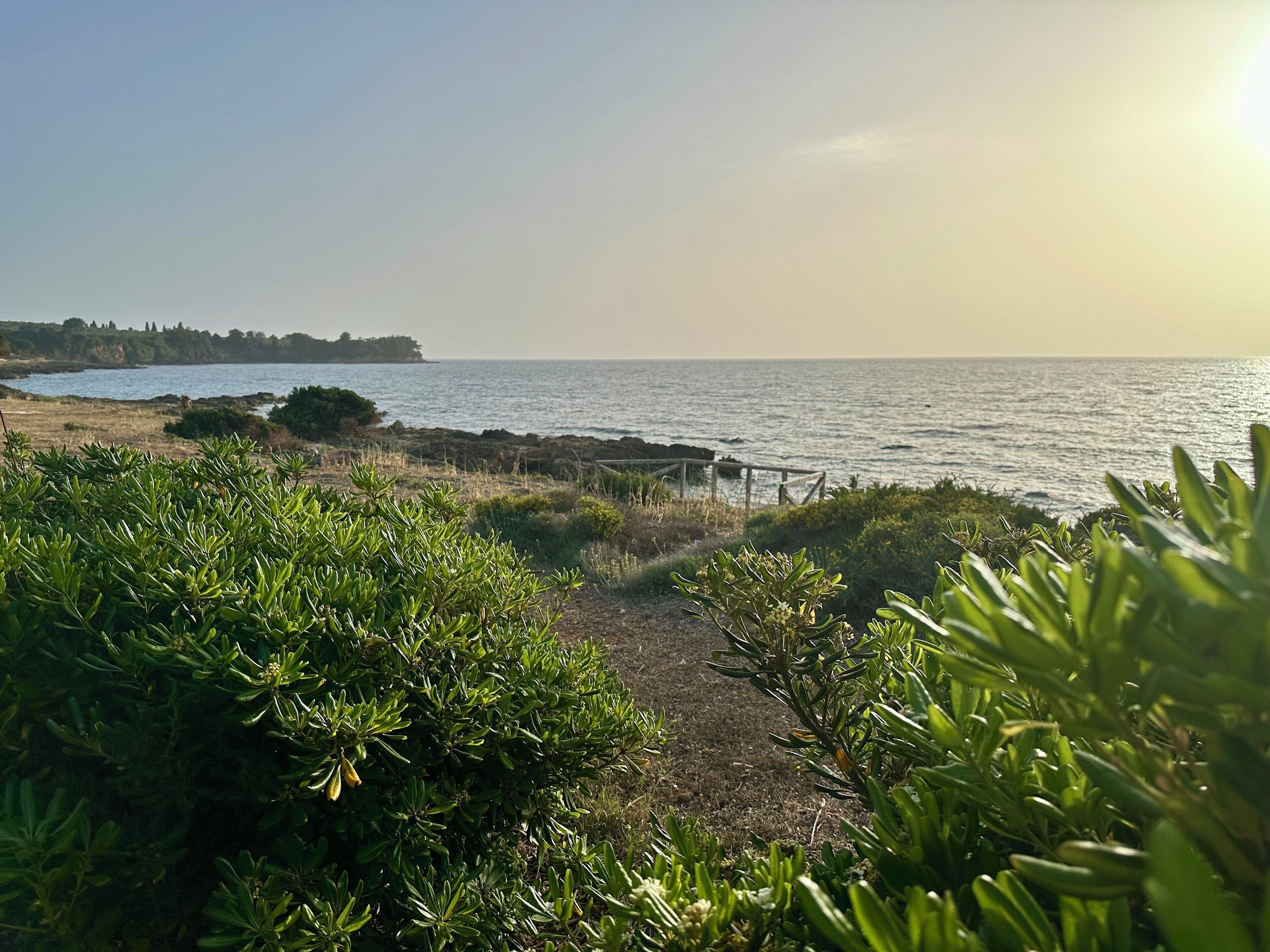Uma trilha costeira com vegetação densa que leva a uma praia, uma cerca de madeira e uma vista clara do mar.
