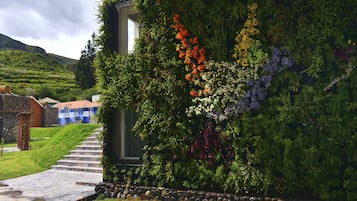 Entrada (vista interna)