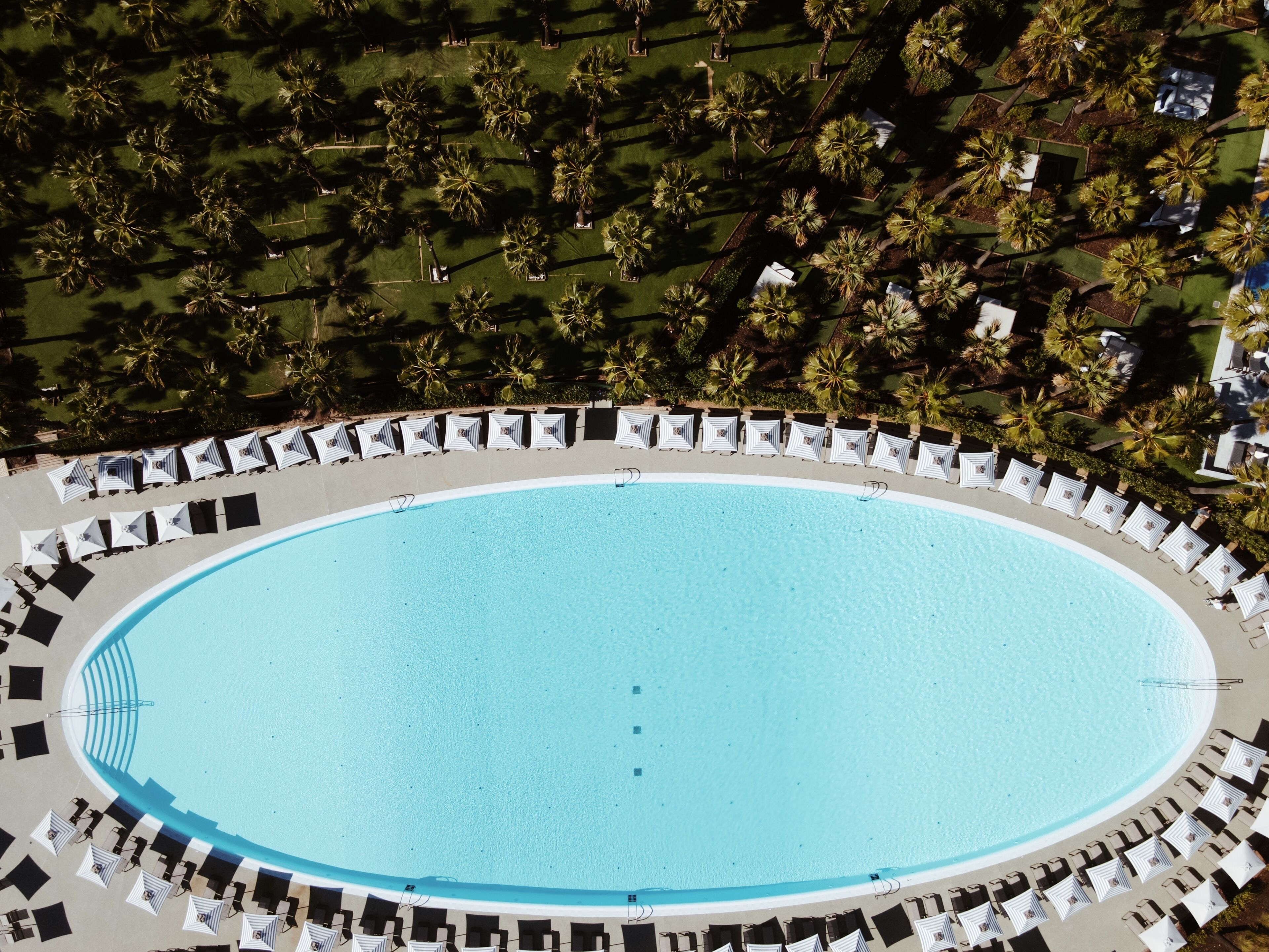 Vista aérea de uma grande piscina oval, rodeada por espreguiçadeiras e guarda-sóis brancos, com palmeiras e um gramado bem cuidado ao fundo.