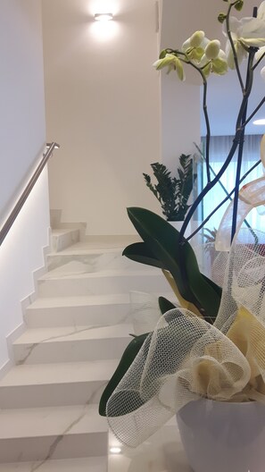 Entrada (vista interior)