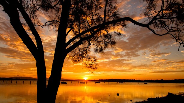 Um pôr do sol sobre um lago calmo, com silhuetas de árvores e uma linha de costa distante.
