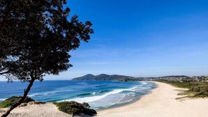 Uma praia com vista clara do oceano, um caminho de areia e uma árvore.