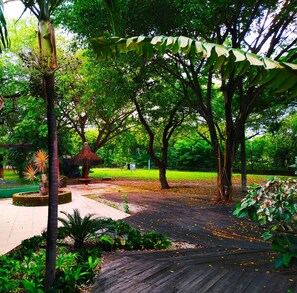 Pormenores do interior