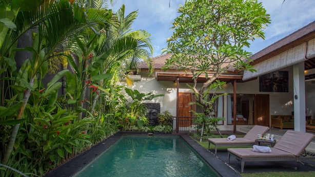Uma piscina com espreguiçadeiras, rodeada por plantas tropicais exuberantes e um edifício com telhado em azulejos.