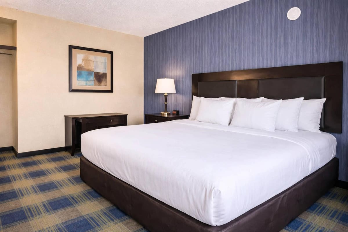 Quarto de hotel com uma cama grande, mesa de cabeceira com abajur, quadro na parede e balcão de recepção.