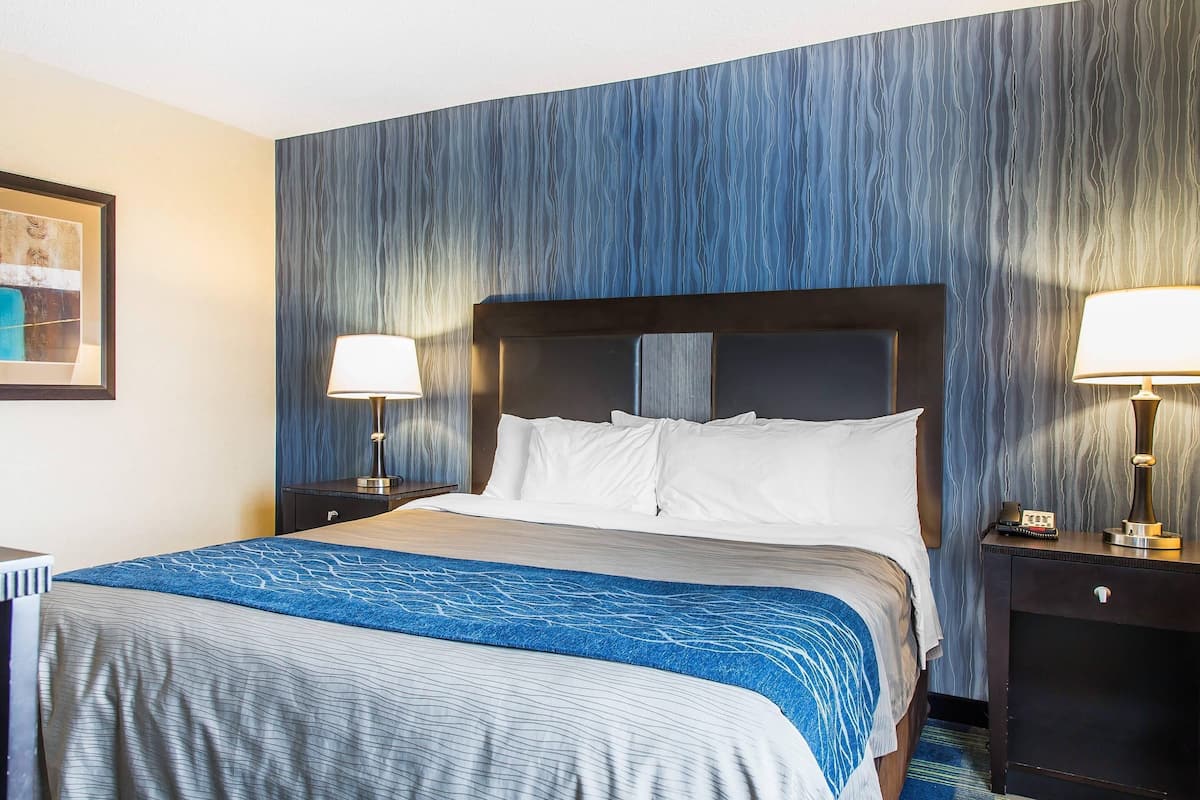 Quarto de hotel com uma cama grande, duas mesas de cabeceira com luminárias, uma TV fixada na parede e um quadro emoldurado.