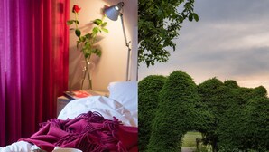 Quarto de hotel com cama, luminária de cabeceira, um vaso com uma rosa e uma bandeja de café da manhã.