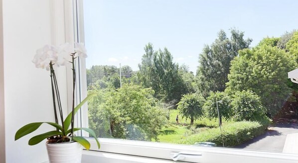 Vista da janela com cortinas brancas, com um vaso de planta e uma orquídea branca.