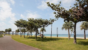 Uma trilha pavimentada que leva a uma praia com palmeiras e céu claro.