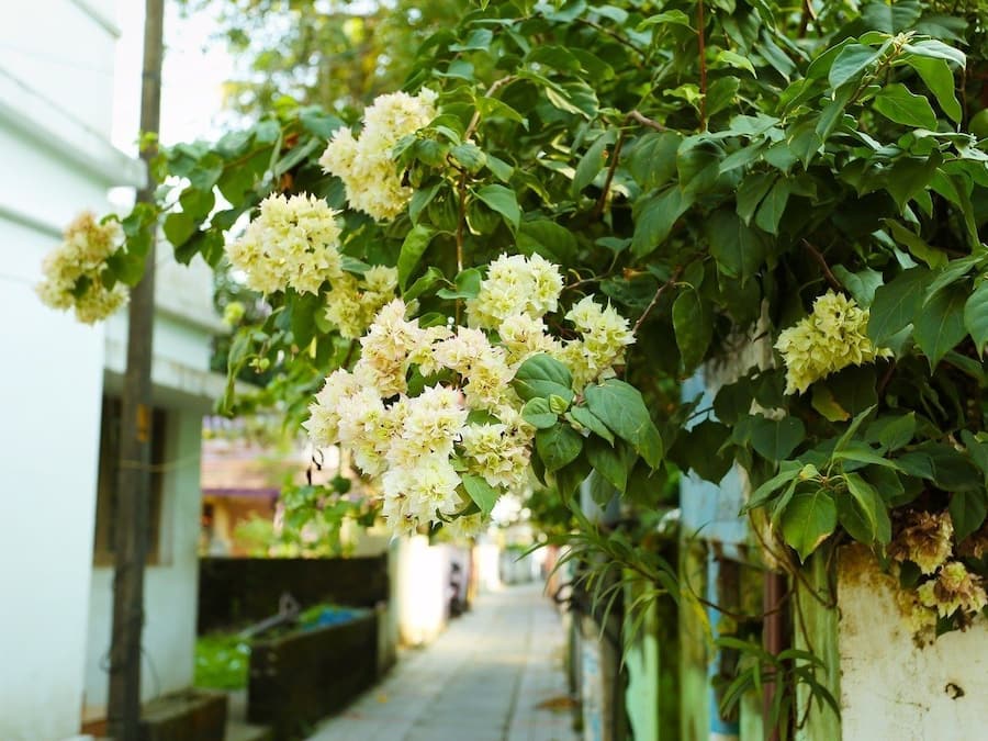 Quarto standard | Área do café da manhã