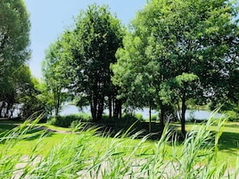 Um parque com árvores e um lago.