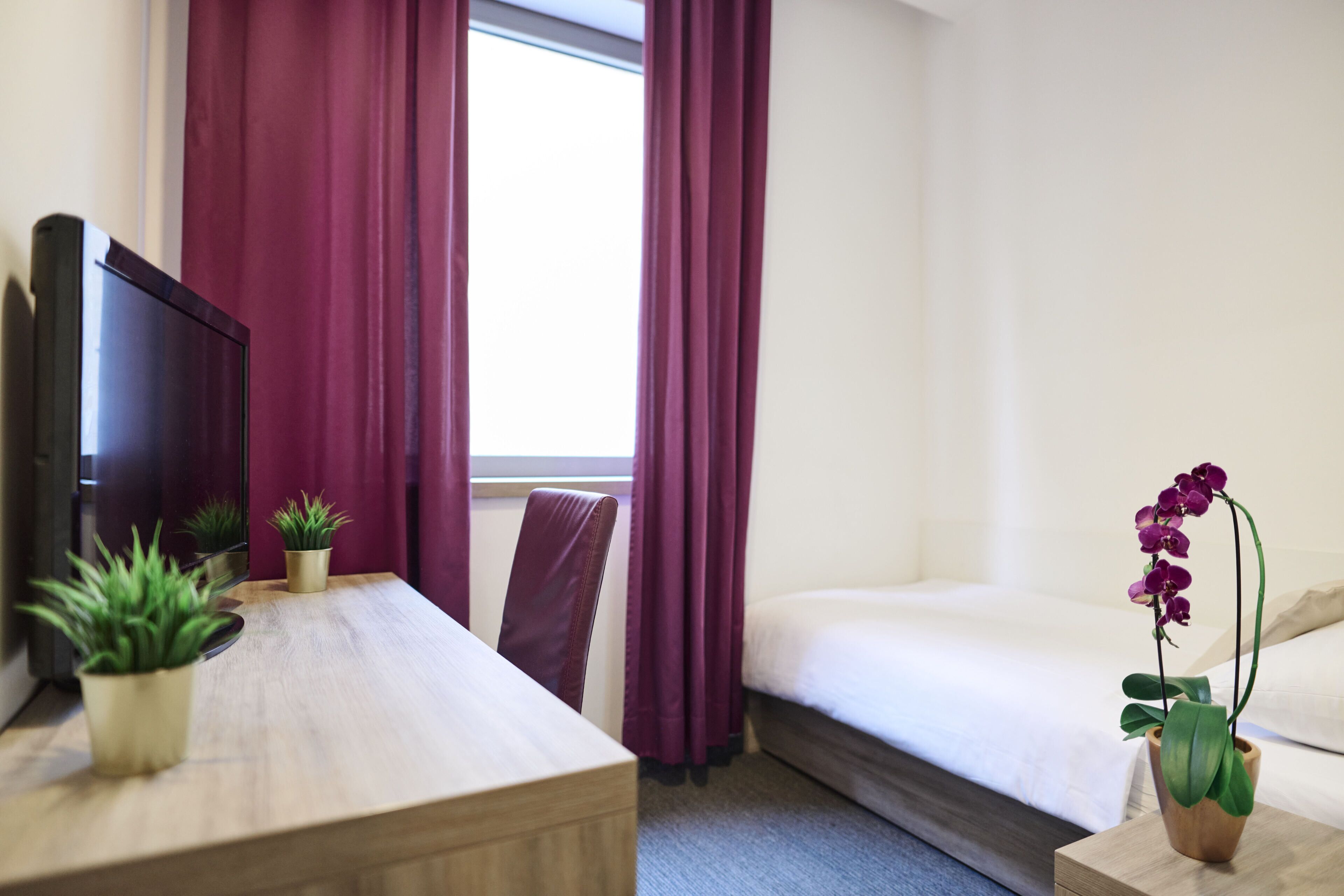 Quarto de hotel com cama, escrivaninha com duas plantas em vasos, televisão e janela com cortinas roxas.