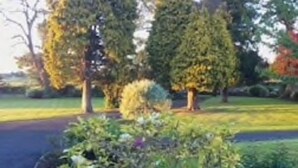 Um jardim paisagístico com diversas plantas e árvores.