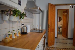 Apartamento, 1 quarto | Cozinha privada | Um frigorífico/congelador grande, um forno, uma placa de cozinha 