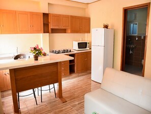 Cozinha compacta com armários de madeira, geladeira branca, micro-ondas e pia.