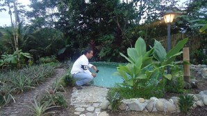 Uma pessoa agachada perto de um caminho de pedra que leva a uma piscina rodeada por vegetação exuberante e uma vedação de bambu.