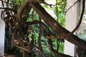 Pormenores do exterior