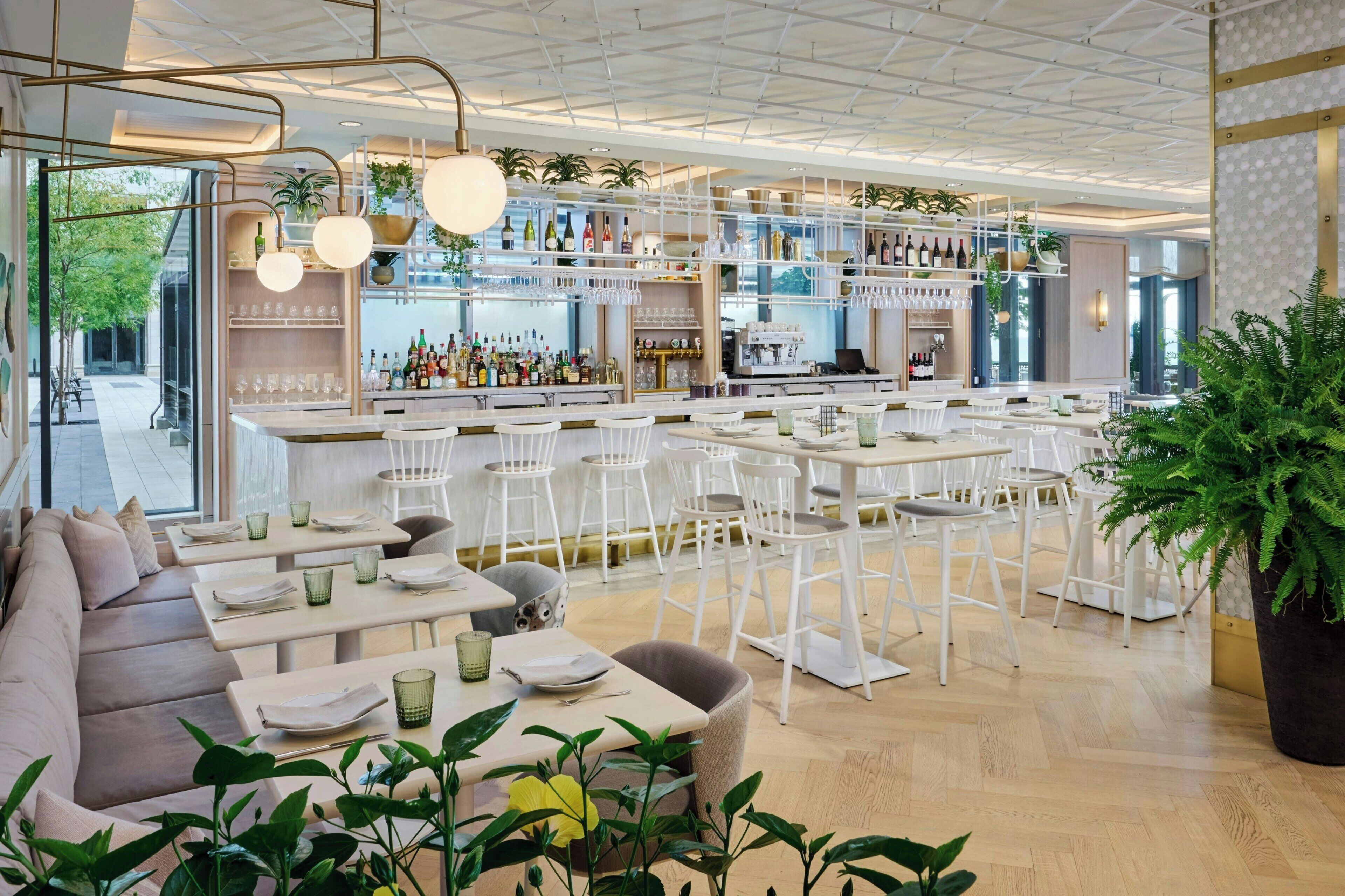 Restaurante moderno com mobiliário branco, área de bar e uma grande planta em vaso.