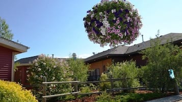 Jardim