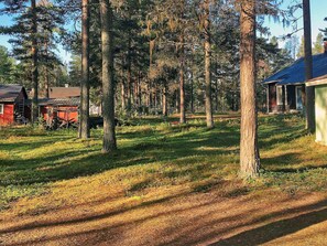 Paisagem rural com um caminho de terra, árvores e um pequeno edifício com varanda.