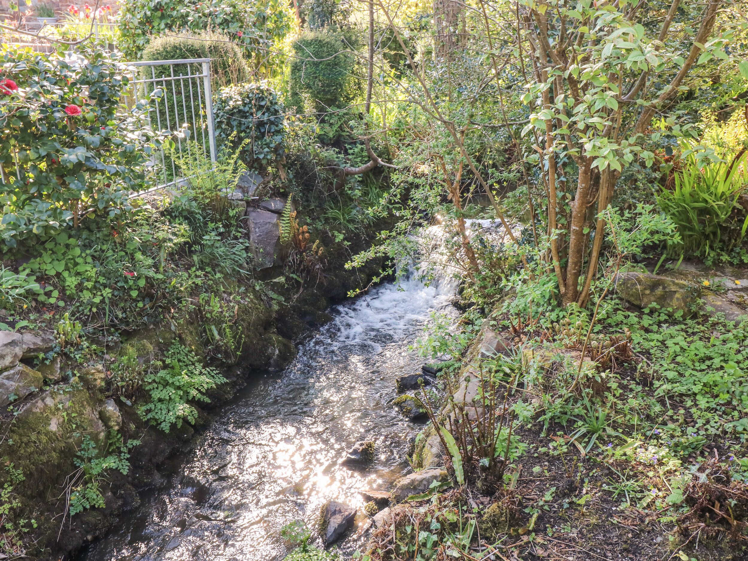 Um riacho estreito serpenteando por um jardim exuberante, com vegetação densa e uma cerca de metal.