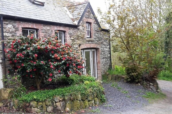 Cwmbrandy Cottage - Fishguard