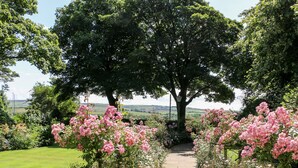 Um caminho no jardim, ladeado por arbustos floridos, conduz a uma grande árvore.