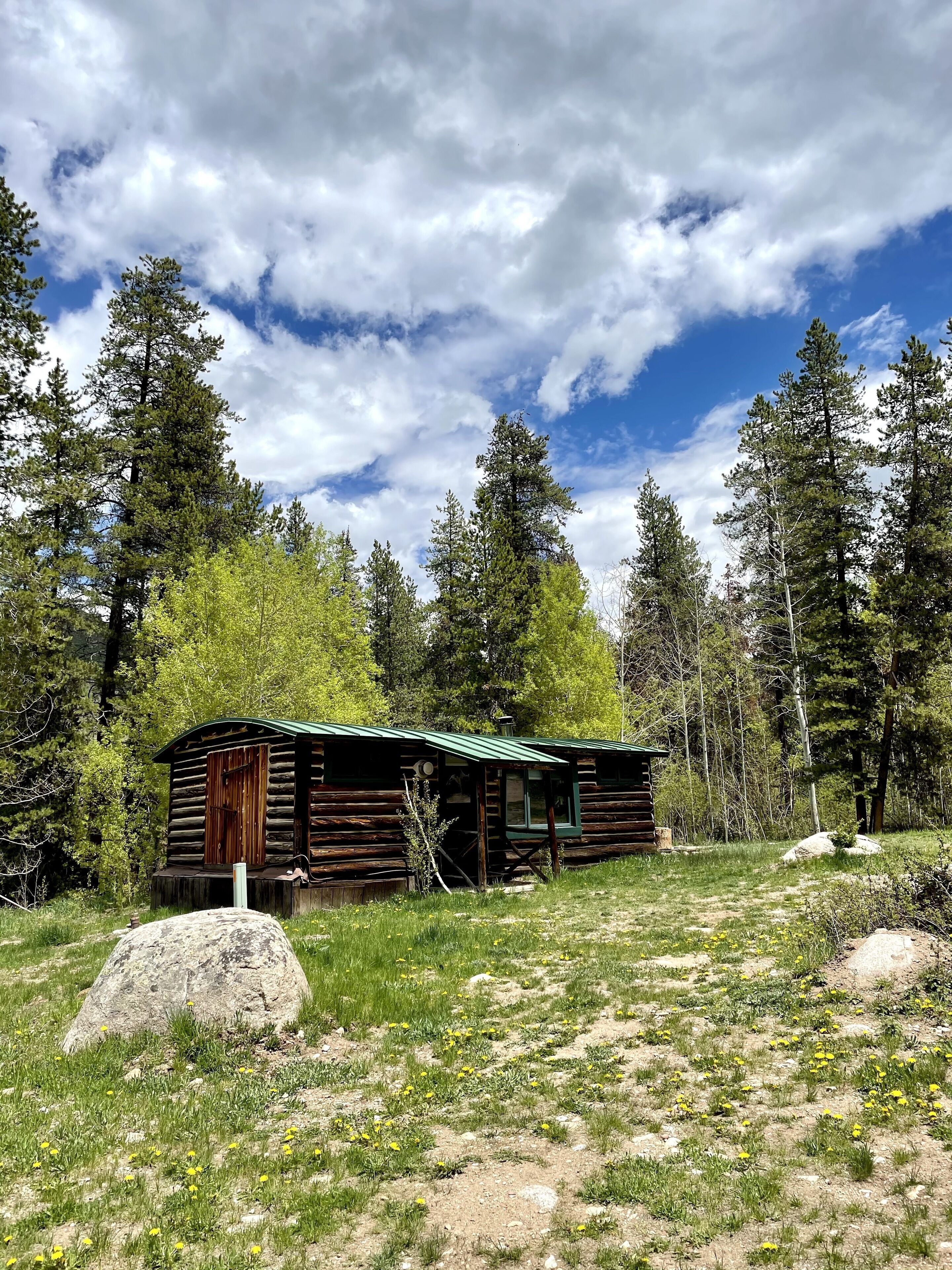 Cabine, vista para a montanha (Larkspur) | Roupa de cama fornecida 