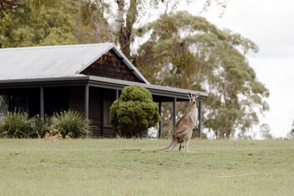Palmers Lane Estate Hunter Valley - Pokolbin