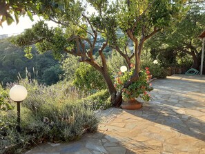 Casa de Campo, várias camas | Terrenos do alojamento