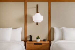 Edredões de penas, secretária, ferro/tábua de engomar, Wi-fi grátis