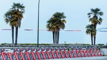 Uma fileira de bicicletas estacionadas em frente a uma orla com palmeiras e céu claro.