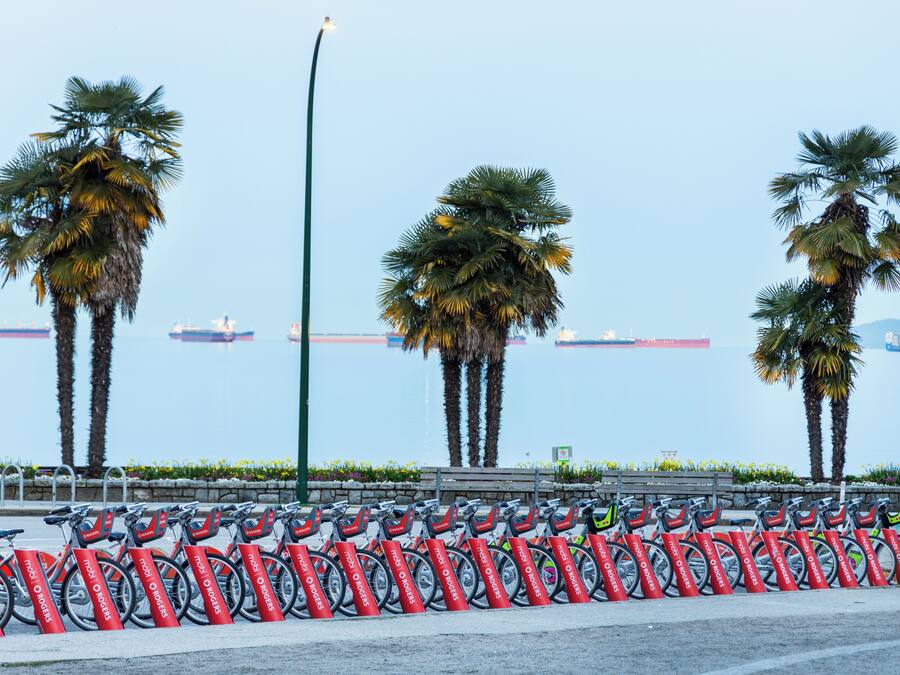 Uma fileira de bicicletas estacionadas em frente a uma orla com palmeiras e céu claro.