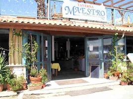 Um restaurante chamado 'Taverna Maestro' com mesas ao ar livre e plantas em vasos.