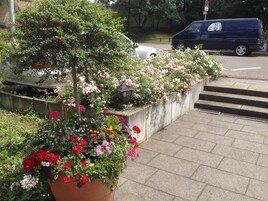 Estacionamento grátis, estacionamento com motorista grátis 