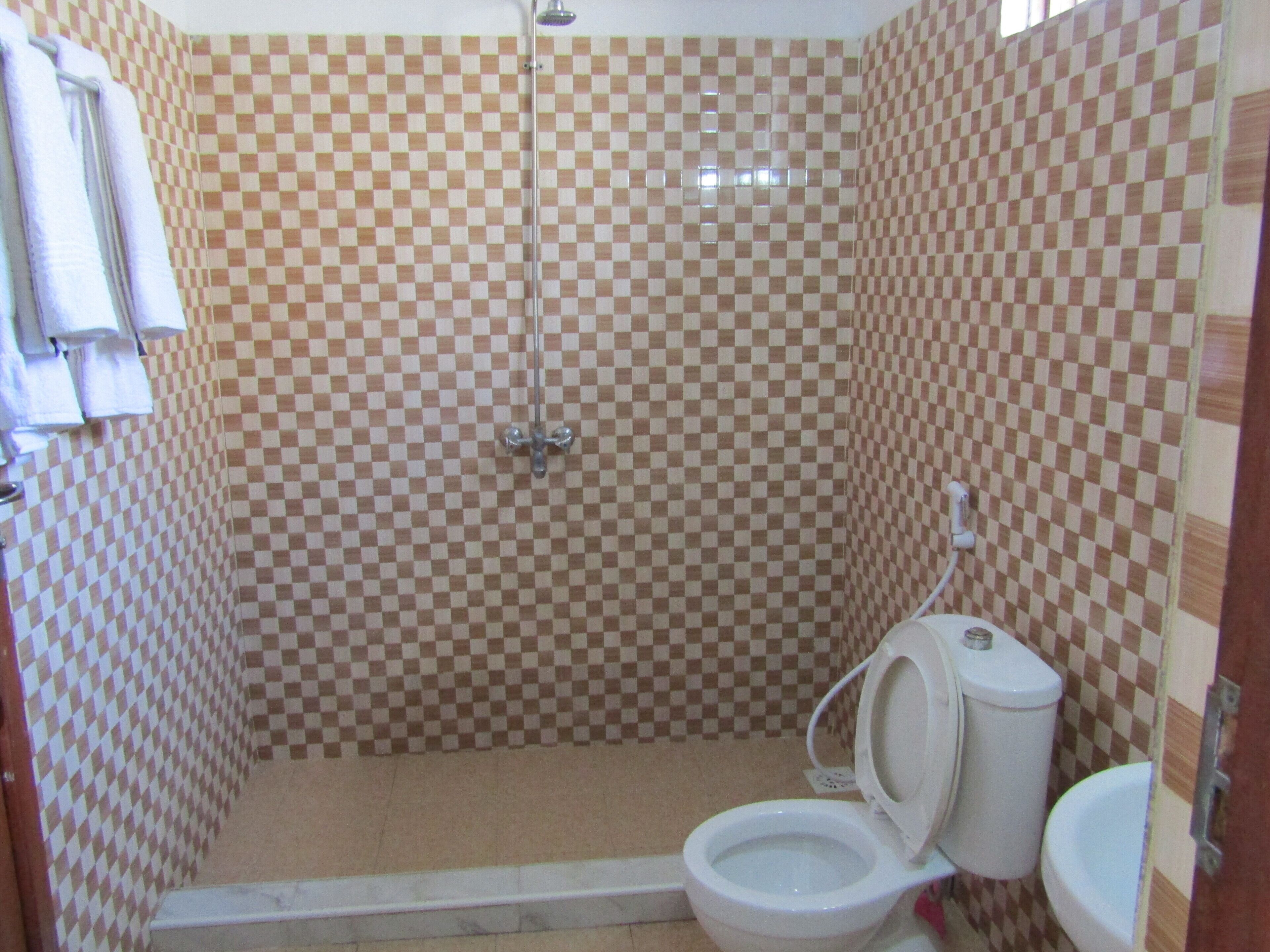 Uma casa de banho com paredes de azulejos quadriculados, chuveiro e sanita.